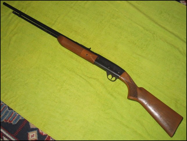 Daisy/Heddon Model 572 Bb Gun For Sale at GunAuction.com - 7171869