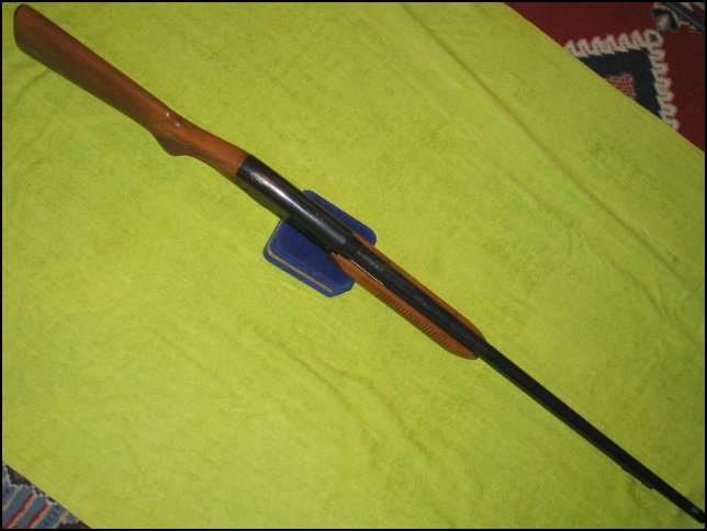 Daisy/Heddon Model 572 Bb Gun For Sale at GunAuction.com - 7171869