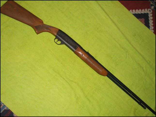 Daisy/Heddon Model 572 Bb Gun For Sale at GunAuction.com - 7171869