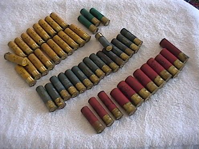 Large Assortment - Old Collectible Shotgun Shells