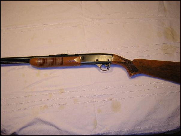 Daisy/Heddon 572 For Sale at GunAuction.com - 7302844