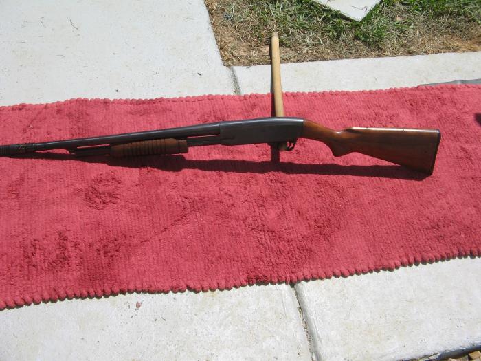 Savage-Stevens Stevens Model 77d .20 Ga Pump W/ Poly-Choke For Sale at ...