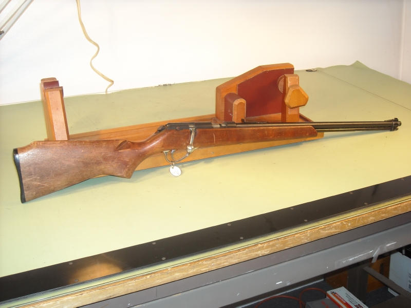 Revelation Model 110 / Cal. 22 For Sale at GunAuction.com - 10230660