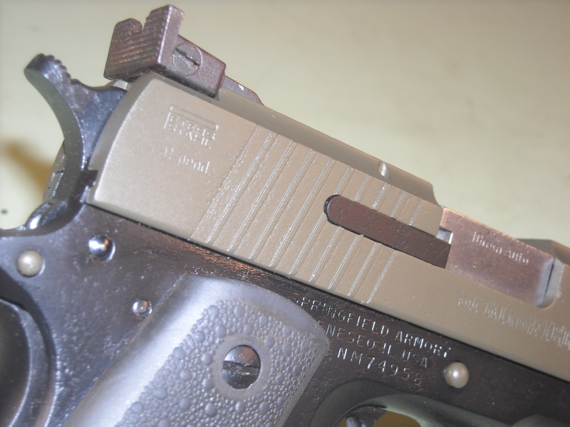 Springfield Armory Model Omega / 10 Mm. For Sale at GunAuction.com ...