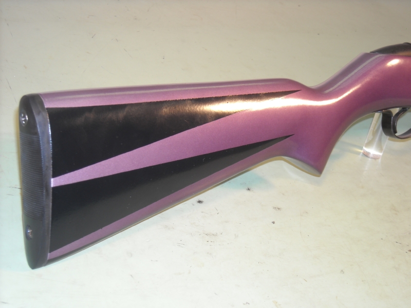 Savage/Springfield Model 187 Ts / 22 Lr For Sale at GunAuction.com ...