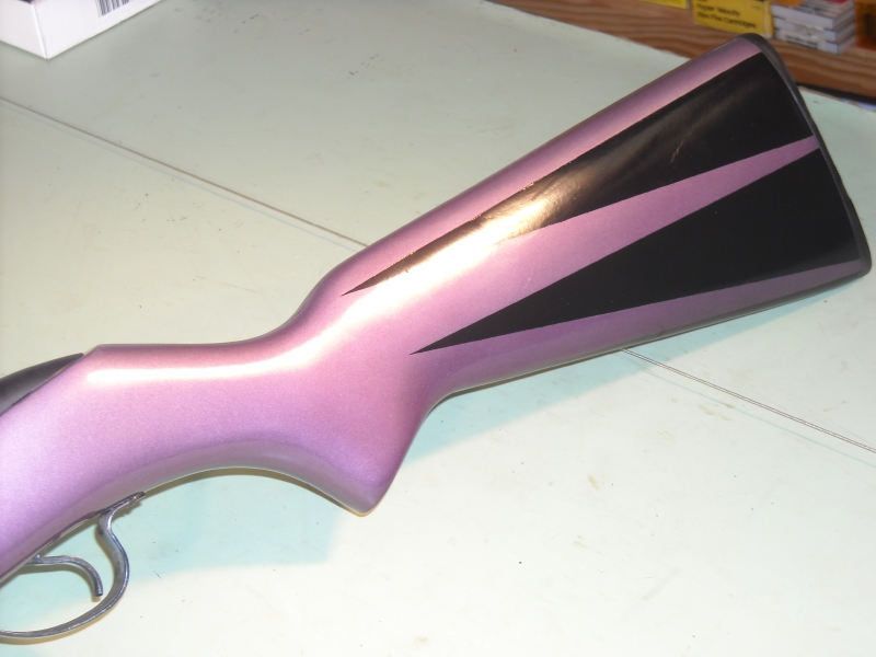 Savage/Springfield Model 187 Ts / 22 Lr For Sale at GunAuction.com ...