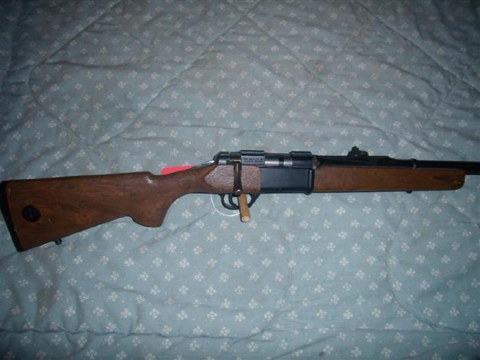 Daisy 2202 Legacy .22 Clip Feed Bolt Action Repeater For Sale at ...