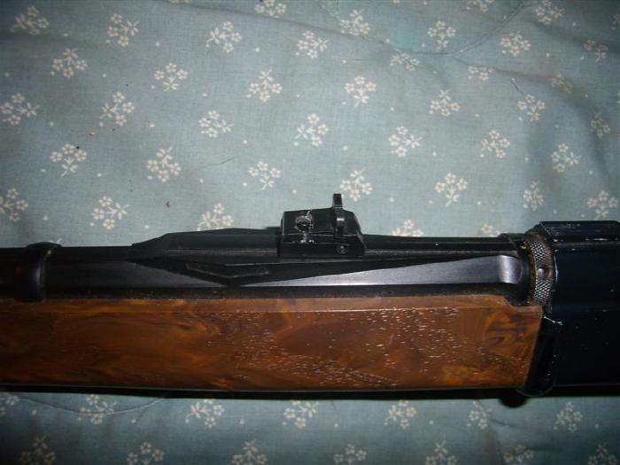 Daisy 2202 Legacy .22 Clip Feed Bolt Action Repeater For Sale at ...