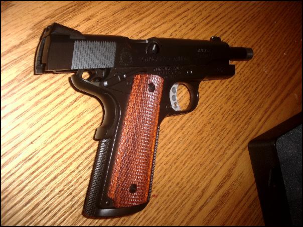 Springfield Armory (Geneseo, Il) Springfield Armory Professional Model ...