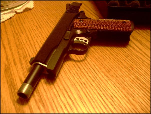 Springfield Armory (Geneseo, Il) Springfield Armory Professional Model ...