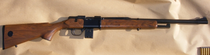 Daisy Legacy Youth 2203 22lr With Scope Exc Nr For Sale at GunAuction ...