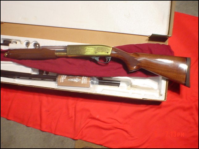 Remington ,870,20gamagnum,Engraved/Gold For Sale at GunAuction.com ...