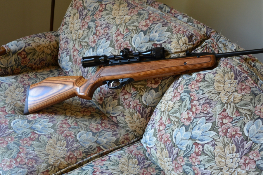 Beeman Rx-2 .22 Cal. W/Bushnell 3-9 Ao Scope For Sale at GunAuction.com ...