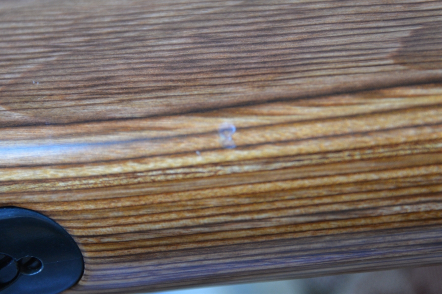 Beeman Rx-2 .22 Cal. W/Bushnell 3-9 Ao Scope For Sale at GunAuction.com ...