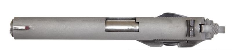 Amt Government Model Stainless Steel .45 Auto For Sale at GunAuction ...