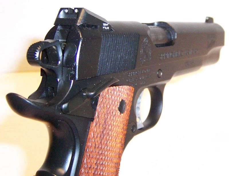 Springfield Custom Shop Professional 1911a1 45acp Ns For Sale at ...