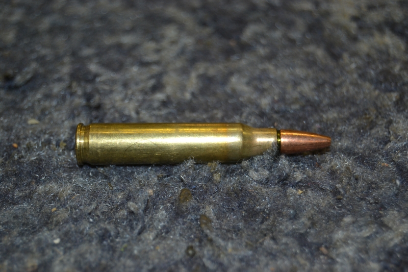 500 Rnds Federal 62 Gr Otm Match .556 Free Ship For Sale at GunAuction ...