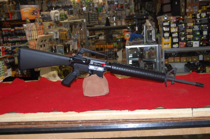 Dpms Panther Lite (Rfa1-L20) 5.56 Blue / Polymer For Sale at GunAuction ...