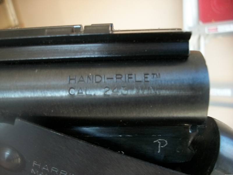 Harrington & Richardson, Inc. H & R Handi-Rifle 243/20ga Slug/12ga Yth ...