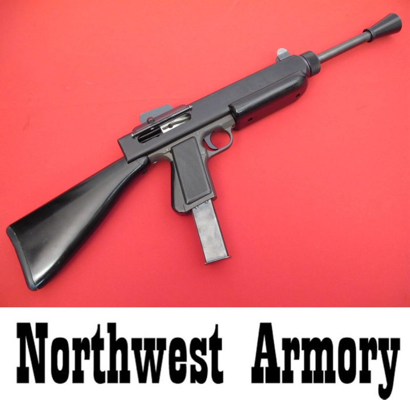 Wilkinson Arms, Terry 9mm Carbine, 31-Round Mag No Reserve For Sale at ...