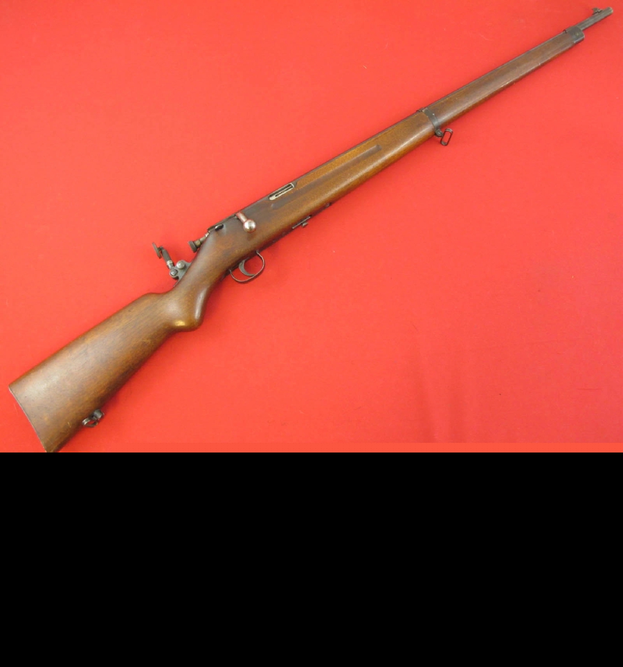 Savage Model 19 NRA Bolt Action 22lr, 25in, Rear Peep Sight, C&R OK ...