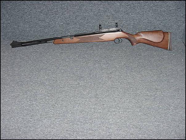Rws Diana Mod. 46 Pellet Rifle Air Gun For Sale at GunAuction.com - 5981965
