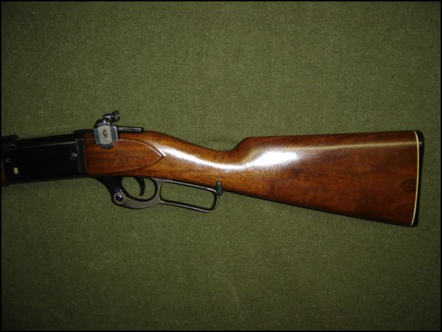 Savage Model 1899, Made 1910 With Brass Counter For Sale at GunAuction ...