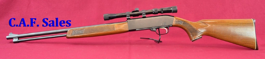 Sears, Roebuck & Co. Model 273.2400 .22 Cal Semi-Auto Rifle For Sale at ...