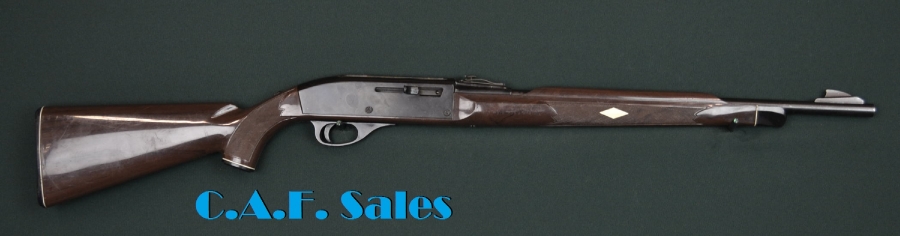 Remington Model Nylon 66 .22 Cal Semi-Auto Rifle For Sale at GunAuction ...
