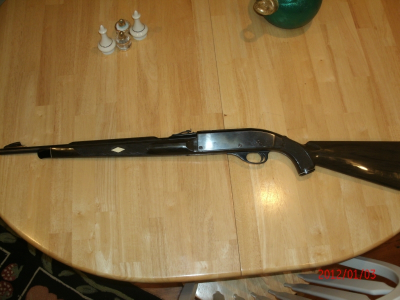 Remington Seneca Green Nylon 66 .22 Semi Auto For Sale at GunAuction ...