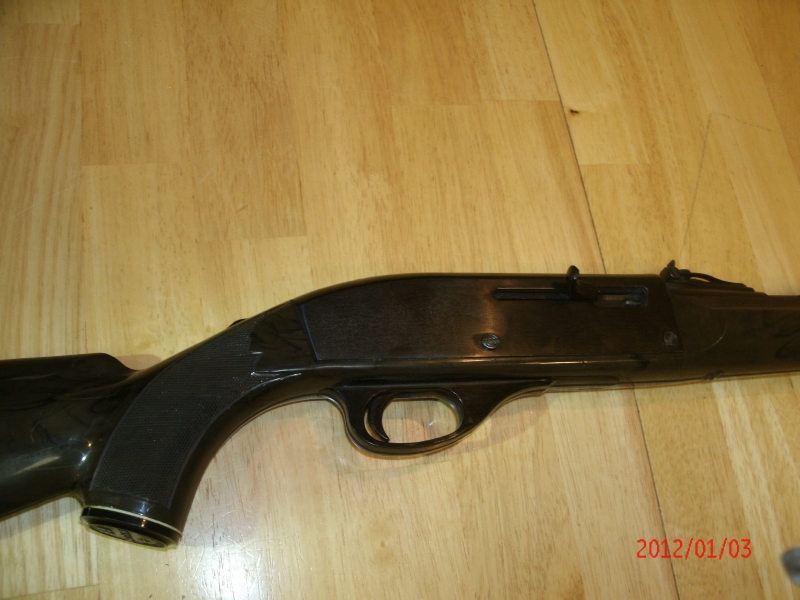 Remington Seneca Green Nylon 66 .22 Semi Auto For Sale at GunAuction ...