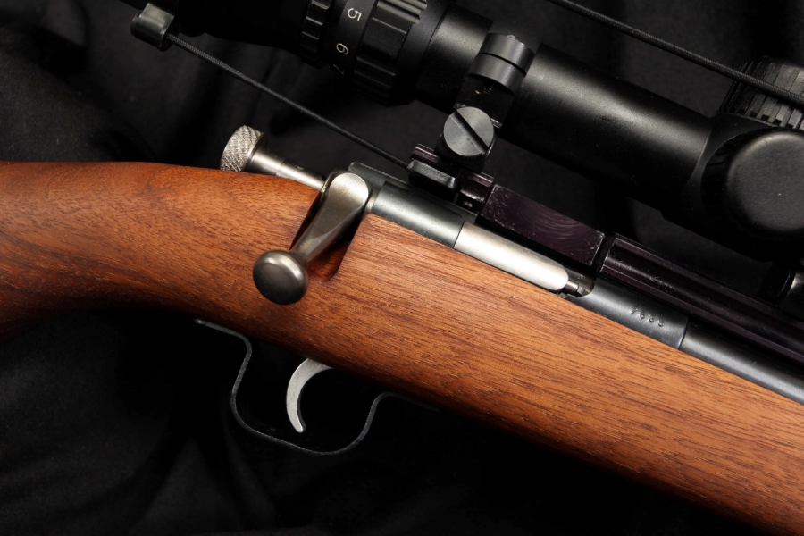 Rogue Chipmunk .22 S, L, Lr Bolt Action Youth Training, Target Rifle W ...