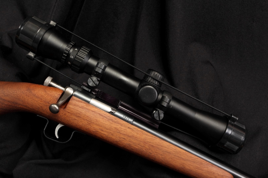 Rogue Chipmunk .22 S, L, Lr Bolt Action Youth Training, Target Rifle W ...