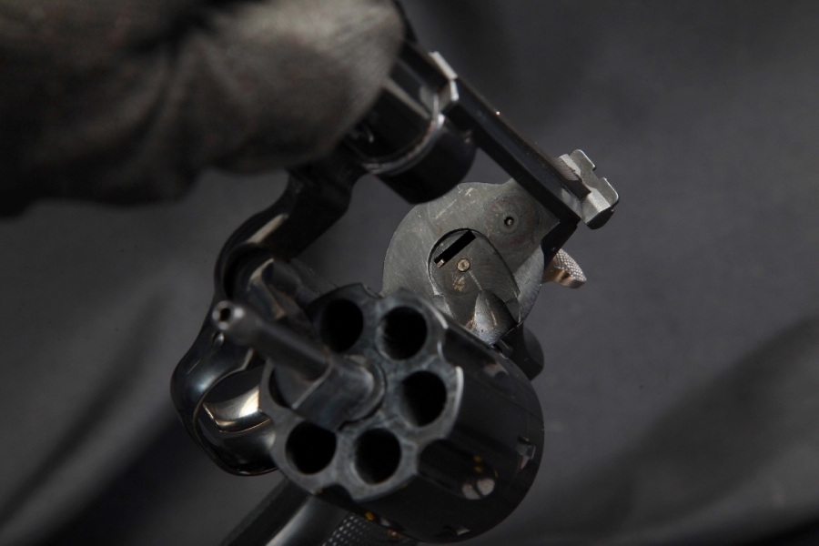 Interarms Astra Terminator Model .44 Mag 2 3/4" Double Action Revolver ...