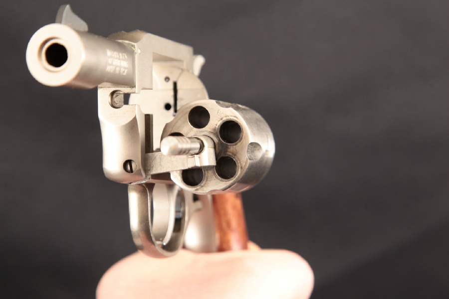 New England Firearms Nef R73 R-73 Da, Nickel 2 1/2" Da/Sa Double Action ...