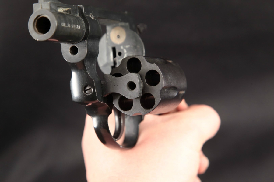 Rohm Rg Industries Model 31 Rg31, Blue 2" Da/Sa Double Action Revolver ...