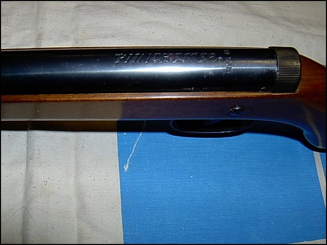 Daisy Model 160 & Winchester Model 416 For Sale at GunAuction.com - 6644759