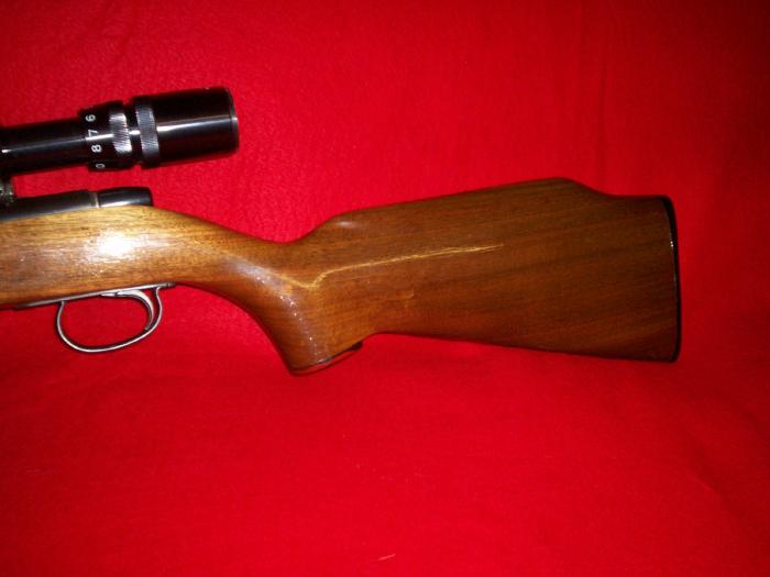 Remington Model 592 5mm Rimfire For Sale at GunAuction.com - 8673302