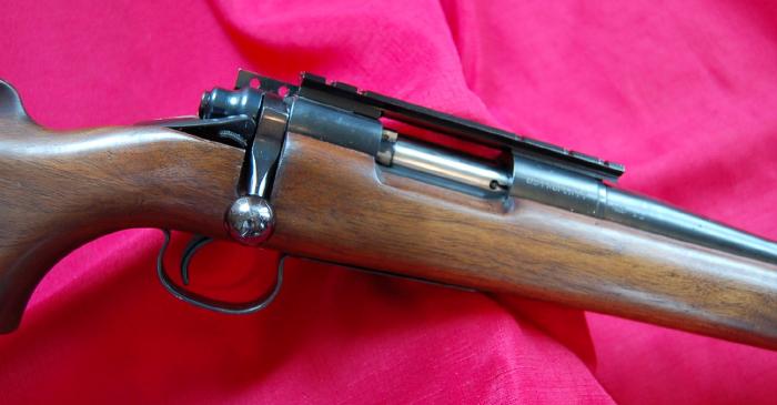 Remington 40x .22lr Us Marked Target Rifle, No Reserve For Sale at ...
