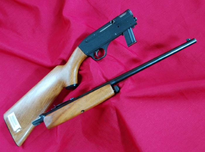 Gevarm French Open Bolt .22lr Semi-Auto Rifle For Sale at GunAuction ...