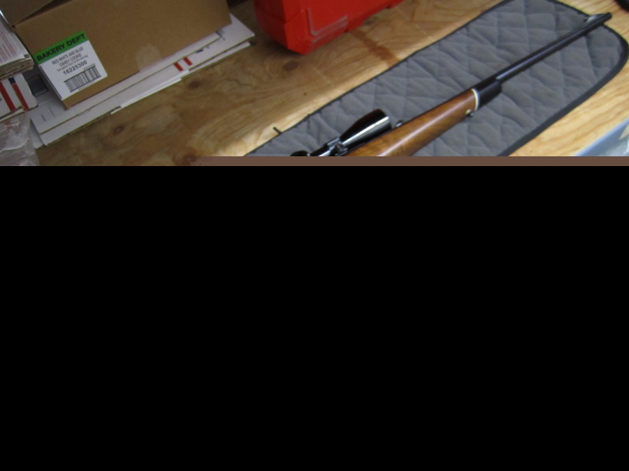 Revelation R210a Western Auto Supply .30-06 For Sale at GunAuction.com ...