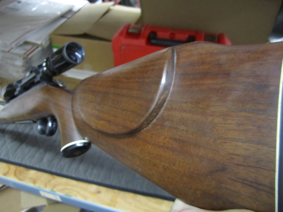 Revelation R210a Western Auto Supply .30-06 For Sale at GunAuction.com ...