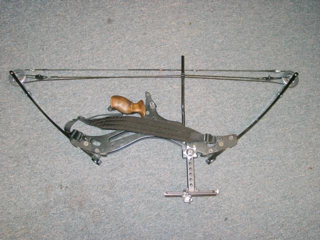 Hoyt Ram Hunter Professional Compound Bow For Sale at GunAuction.com ...