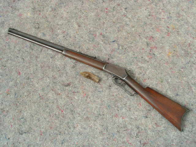 Marlin Firearms Co. 1886 Marlin 38w Octagon Barrel For Sale at ...