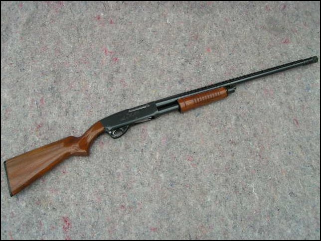 Savage Arms Corp. Model 30f Pump 20ga For Sale at GunAuction.com - 6925628