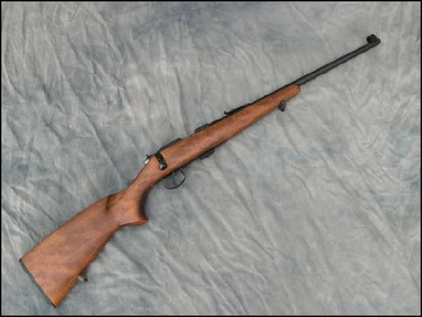 Cz - Usa 513 Basic 22lr For Sale at GunAuction.com - 7737270