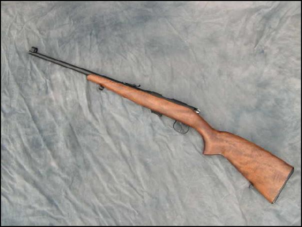 Cz - Usa 513 Basic 22lr For Sale at GunAuction.com - 7737270