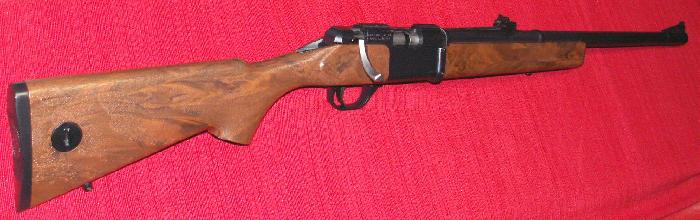 Daisy Legacy Model 2201 .22lr Single-Shot Youth Rifle For Sale at ...