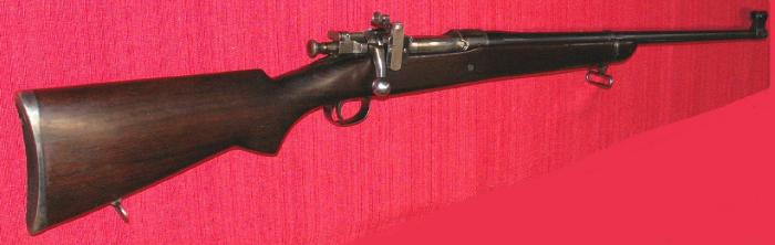 Springfield Armory (Springfield, Mass) Model 1903 Nra Sporting Rifle 30 ...
