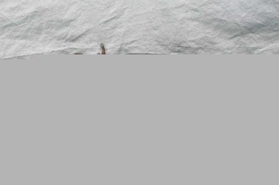 Intrac Arms China Intrac Arms 12ga Sxs Coach Gun. 20" Barrels For Sale ...